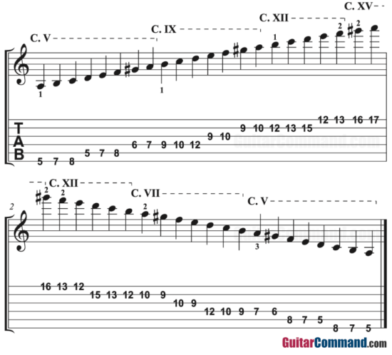 A Minor Scale Guitar TAB: How To Play A Minor Scales On Your Guitar