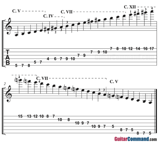 A Minor Scale Guitar TAB: How To Play A Minor Scales On Your Guitar