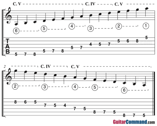 A Minor Scale Guitar TAB: How To Play A Minor Scales On Your Guitar